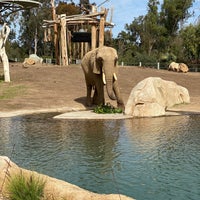 Elephant Odyssey - Balboa Park - San Diego, CA