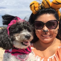 Helotes Fairgrounds - Other Great Outdoors