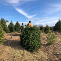 Battenfeld's Christmas Tree Farm - Rhinebeck, NY