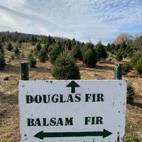 Battenfeld's Christmas Tree Farm - Rhinebeck, NY