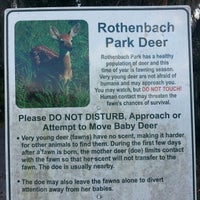 Rothenbach Park - Sarasota, FL