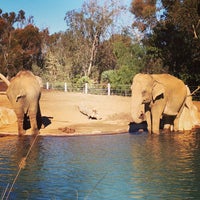 Elephant Odyssey - Balboa Park - San Diego, CA