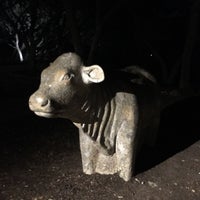 Arboretum Cows - Austin, TX