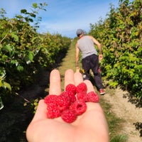 Graysmarsh Berry Farm - Farm in Sequim