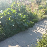 Photos at Summit Slope Park - Capitol Hill - 5 tips from 252 visitors