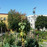 Photos at Summit Slope Park - Capitol Hill - 5 tips from 252 visitors