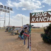 Slug Bug Ranch - Sculpture Garden