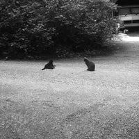 Port Susan Camping Resort - Campground in Marysville