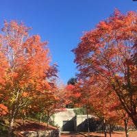 Sam Smith Park - Judkins Park - Seattle, WA