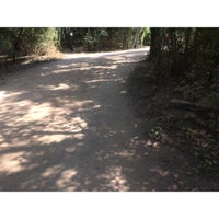 Ann & Roy Butler Trail - Trail in Downtown Austin