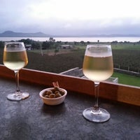York Winery Pvt. Ltd. - Vineyard in Nashik