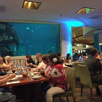 Oceanarium Restaurant (Now Closed) - Waikiki - 26 tips from 945 visitors