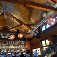 Wolf in the Fog - 21 tips from 447 visitors