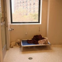 ASPCA Adoption Center - Yorkville - 32 tips from 1802 visitors