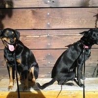 Lazy Dog Restaurant & Bar - The Promenade in Temecula - 40754 Winchester Rd