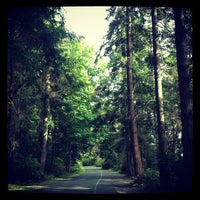 Five Mile Drive - Trail in Ruston