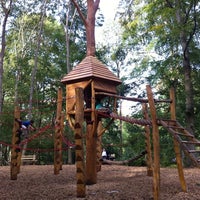 Fineshade Woods - 5 tips from 98 visitors