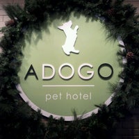 Adogo Pet Hotel - Pet Service in Minnetonka - Hopkins