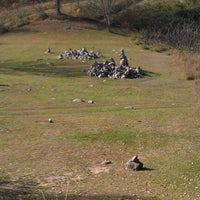 Flip City Disc Golf Course - 4 tips