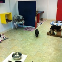 Animal Protective League - Building in Springfield