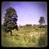 Old Dean Common - Camberley, Surrey