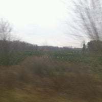 Ridgetown, Ontario - City