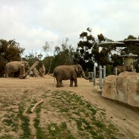 Elephant Odyssey - Balboa Park - San Diego, CA