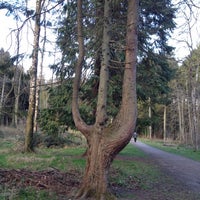 Donadea Forest Park - Donadea