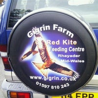 Gigrin Farm Red Kite Feeding Station - Farm