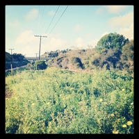 Rose Canyon Bike Path - Other Great Outdoors in University City