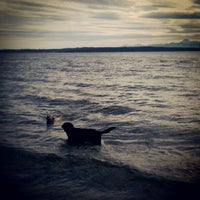Edmonds Off-Leash Dog Park - Dog Run