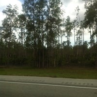 Alligator Alley - Everglades, FL