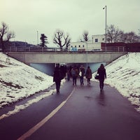 Falmer Railway Station (FMR) - Train Station in Falmer