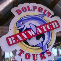 Baywatch Dolphin Tours - Galveston Harbor - 10 tips from 351 visitors