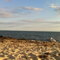 Forest Beach - South Chatham, MA