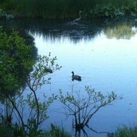 Fred Fletcher Park - Park in Raleigh