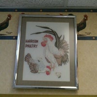 Harrisons poultry farm - psawecommunication