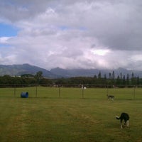 Mililani Dog Park - Mililani Town, HI