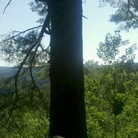 Fort Dummer State Park - Campground in Brattleboro