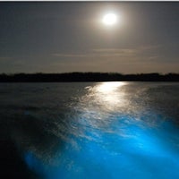 Luminous Lagoon - Lake in Falmouth
