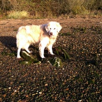 Upnor Beach - Rochester, Kent