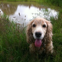 Monken Hadley Common