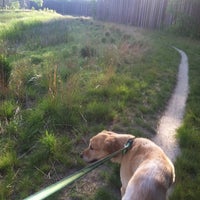 Riley Trails - Trail