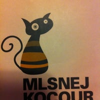 Mlsnej Kocour - Praha 2 - 165 tips from 4074 visitors