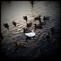 Scidmore Park & Petting Zoo - Park in Three Rivers