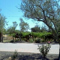 Robledo Family Winery - Sonoma, CA