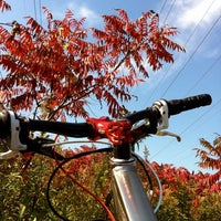 Don Valley Trail - Riverdale - Toronto, ON