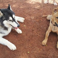 Mililani Dog Park - Mililani Town, HI