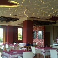 Vite - Italian Restaurant in Coriano