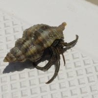 Matanzas Innlet - 11 tips from 416 visitors